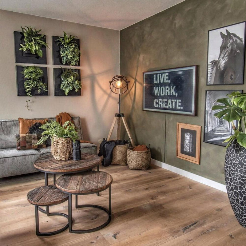 Live Picture Go Plant Wall Frame I Suite Plants by Phil Zen